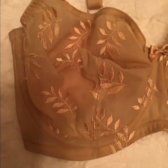 Panache | Intimates & Sleepwear | Panache Superbra Tango Ii Underwire ...